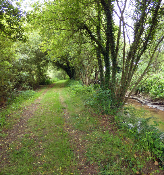 PR2 ETR - Percurso do Rio Jardim